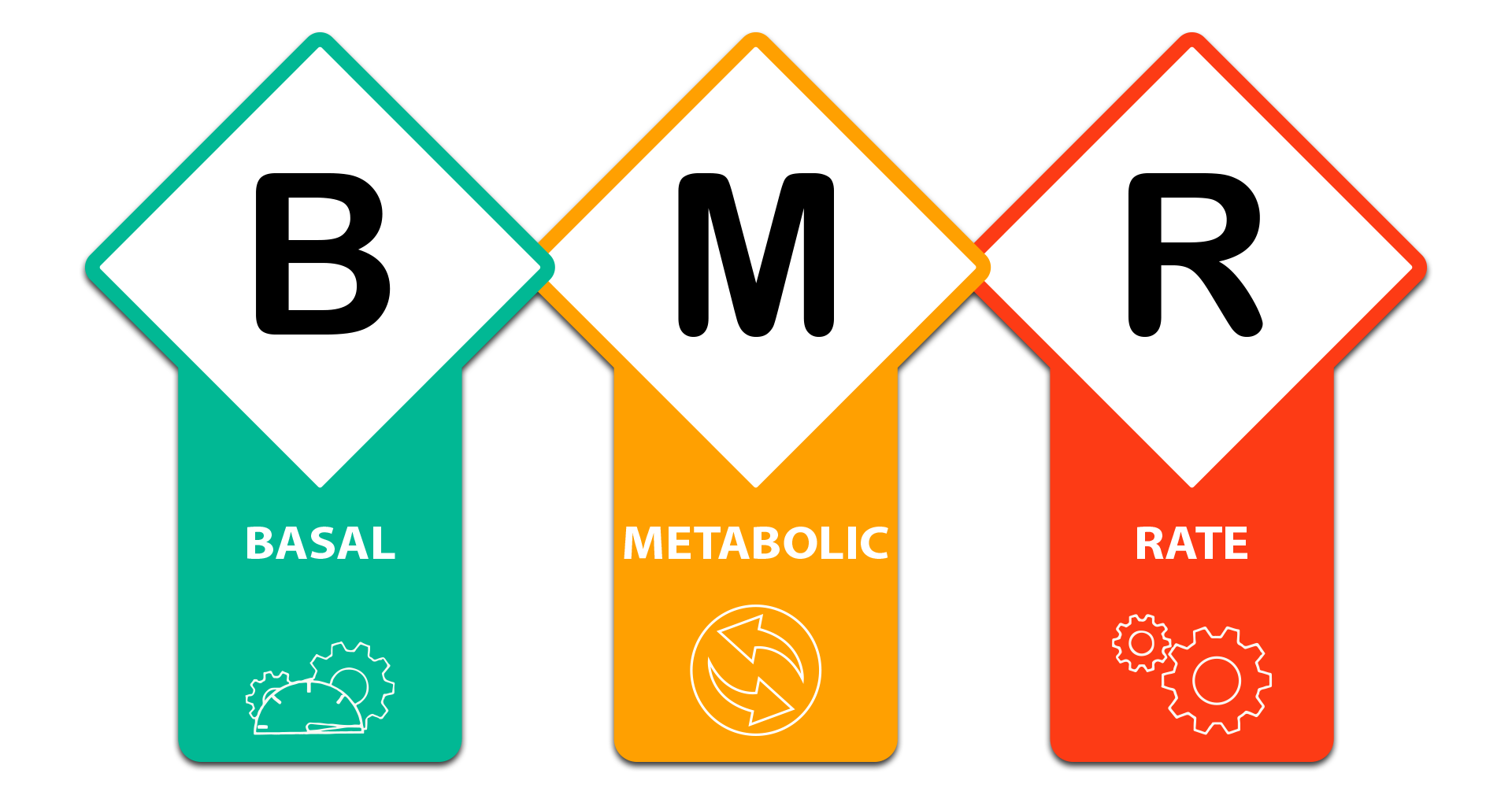 BMR Calculator – Calculate Your Basal Metabolic Rate Easily | Digital ...